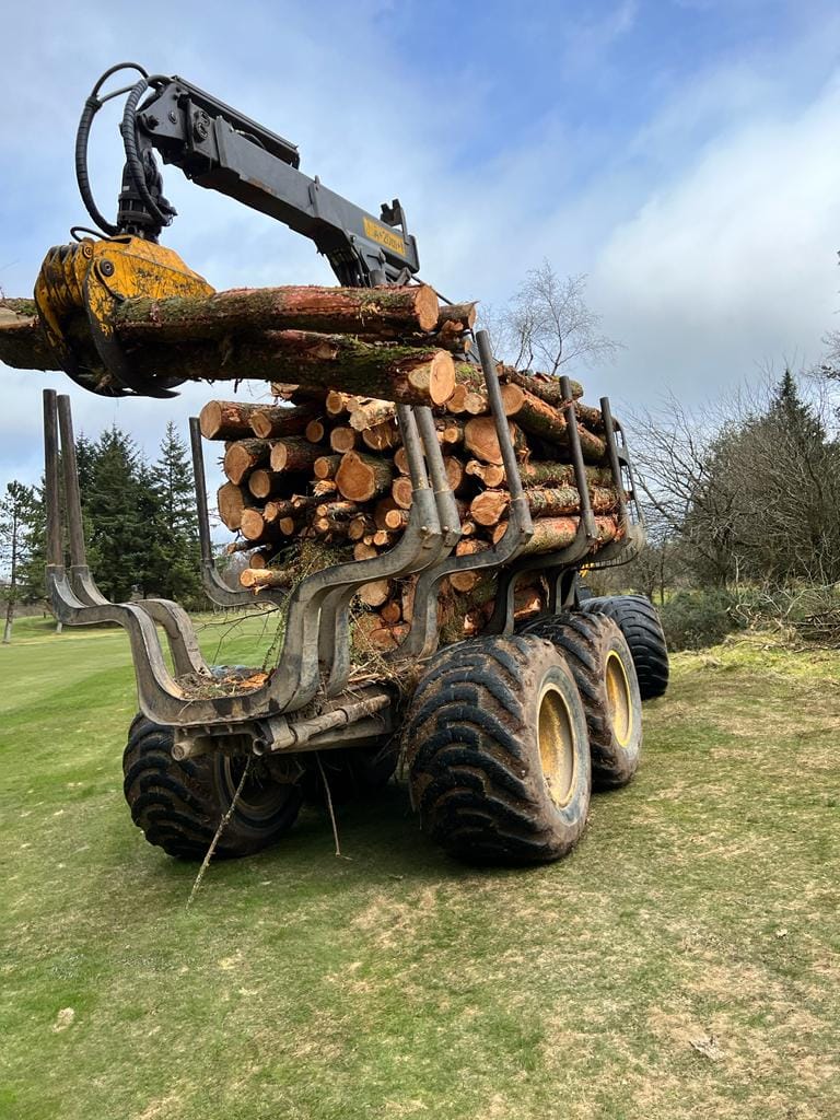 Forestry & Firewood | Barochan Farm | Glasgow